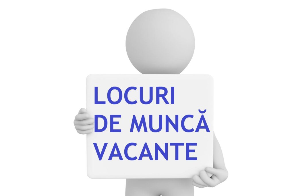 AJOFM Brăila a publicat lista locurilor de muncă disponibile pentru ...